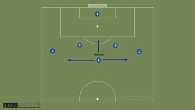 Player Roles Guide for Football Manager 2023 - 2024 | Seif Khaled ...